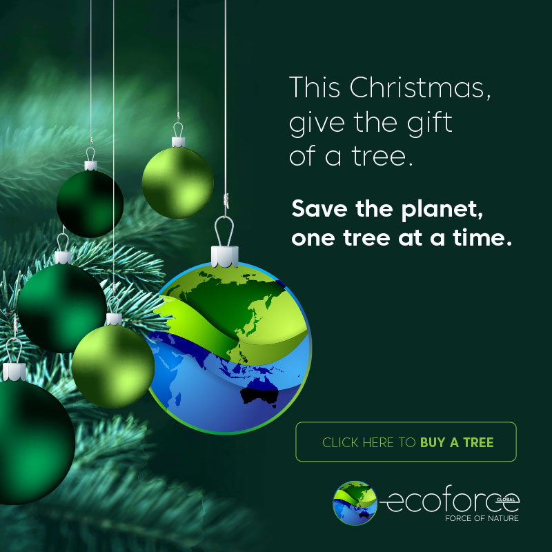 Gift_a_tree_800x800 | EcoForce Global