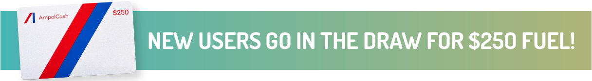 Round up with Rounda to help us plant billions of trees.....