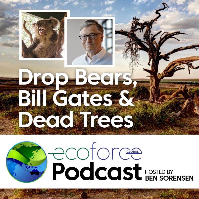 Podcast Drop Bears Bill Gates & Dead Trees | EcoForce Global
