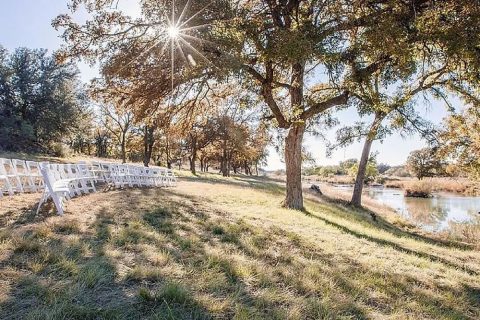 EcoForce Global | Saving our planet one tree at a time